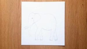 How To Draw An Elephant Step By Step - 18 Easy Steps!