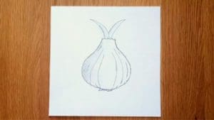 How To Draw An Onion Step By Step - 8 Easy Steps!