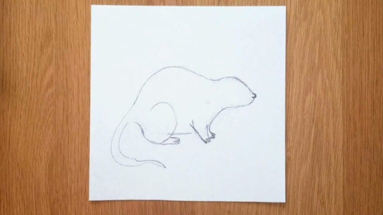 How To Draw A Rat Step By Step - 16 Easy Steps!