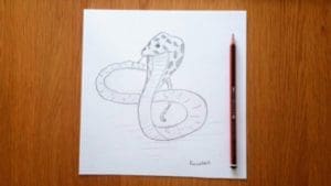How To Draw A Snake Step By Step - 10 Easy Steps!