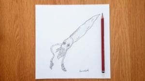 How To Draw A Squid Step By Step - 9 Easy Steps!