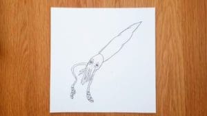 How To Draw A Squid Step By Step - 9 Easy Steps!