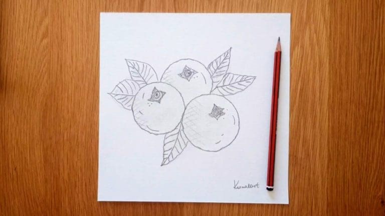 How To Draw A Blueberry Step By Step - 7 Easy Steps!