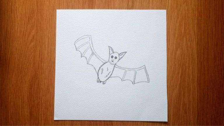 How To Draw A Bat Step By Step - 16 Easy Steps!