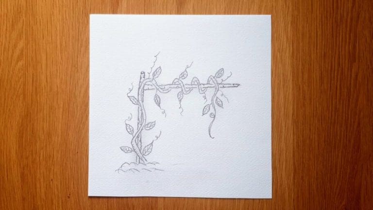 How To Draw Vines Step By Step - 16 Easy Steps!
