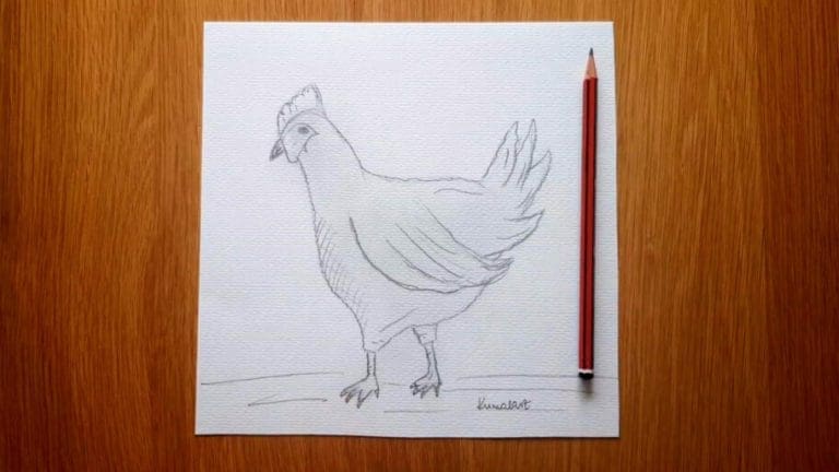 How To Draw A Hen Step By Step - 16 Easy Steps!
