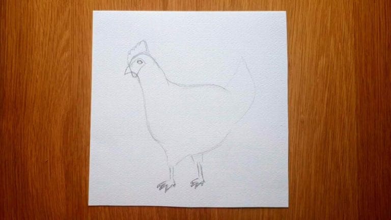 How To Draw A Hen Step By Step - 16 Easy Steps!