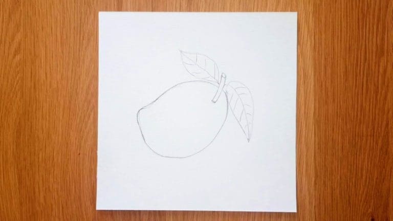 How To Draw A Mango Step By Step - 11 Easy Steps!