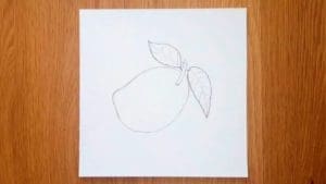 How To Draw A Mango Step By Step - 11 Easy Steps!