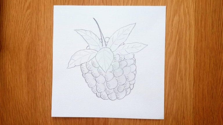 How To Draw A Raspberry Step By Step - 10 Easy Steps!